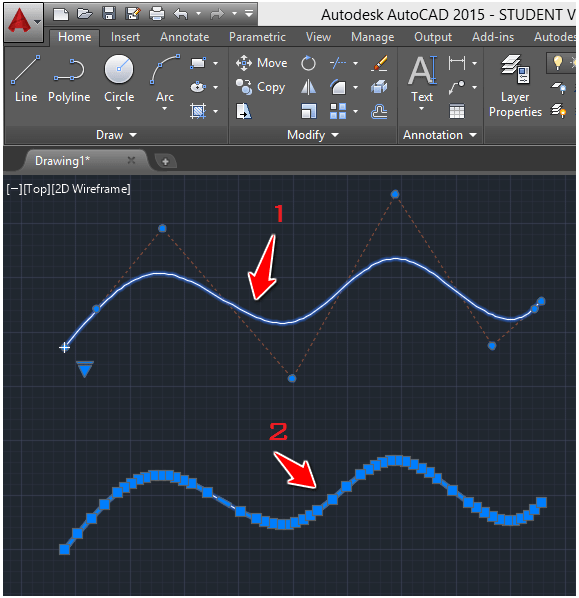  Spline Polyline 